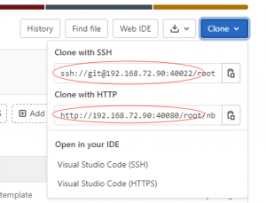 Gitlab 配置自定义 clone 地址 – 小沉御笔